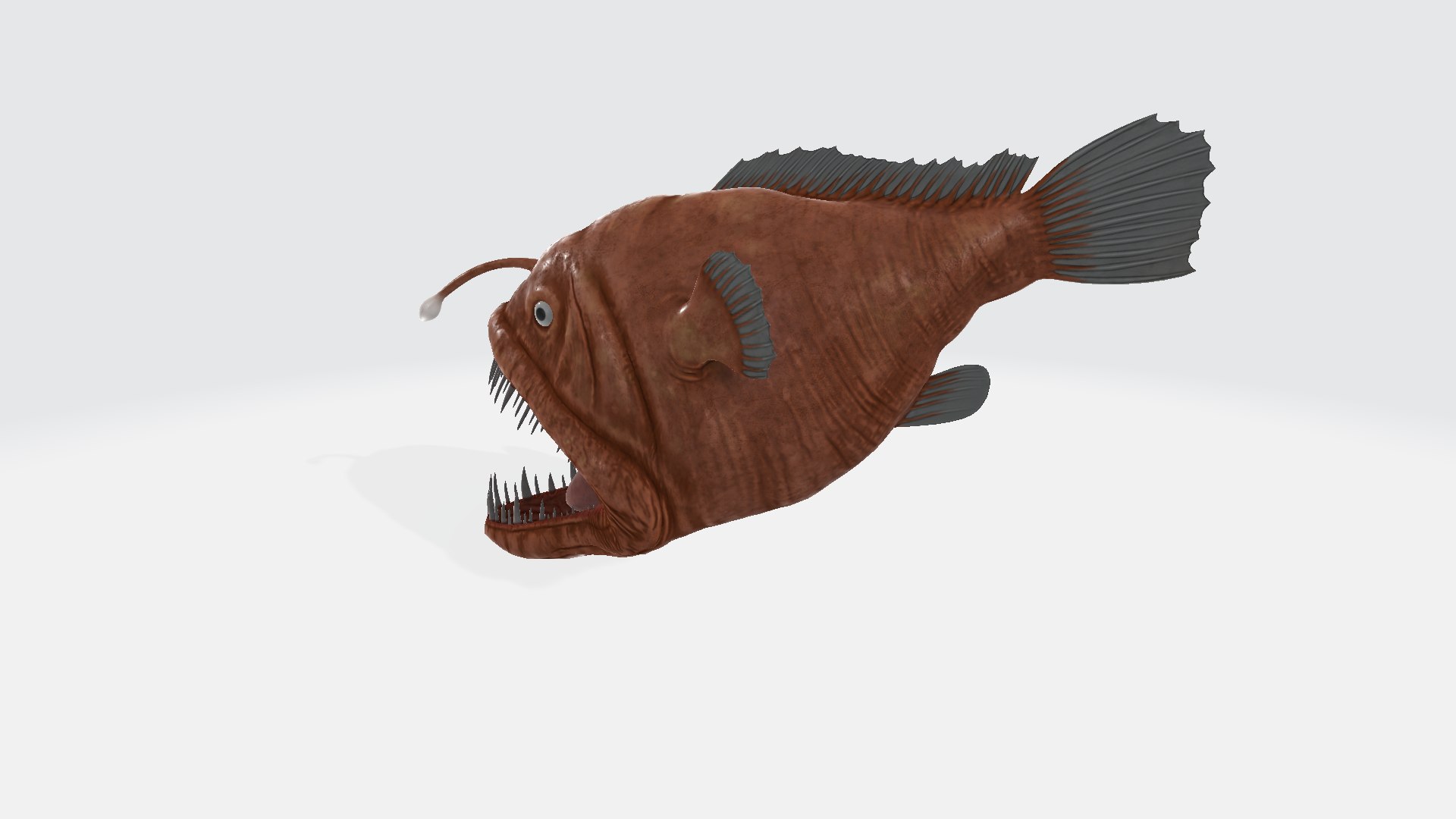 Angler Fish 3D Model - TurboSquid 2294953