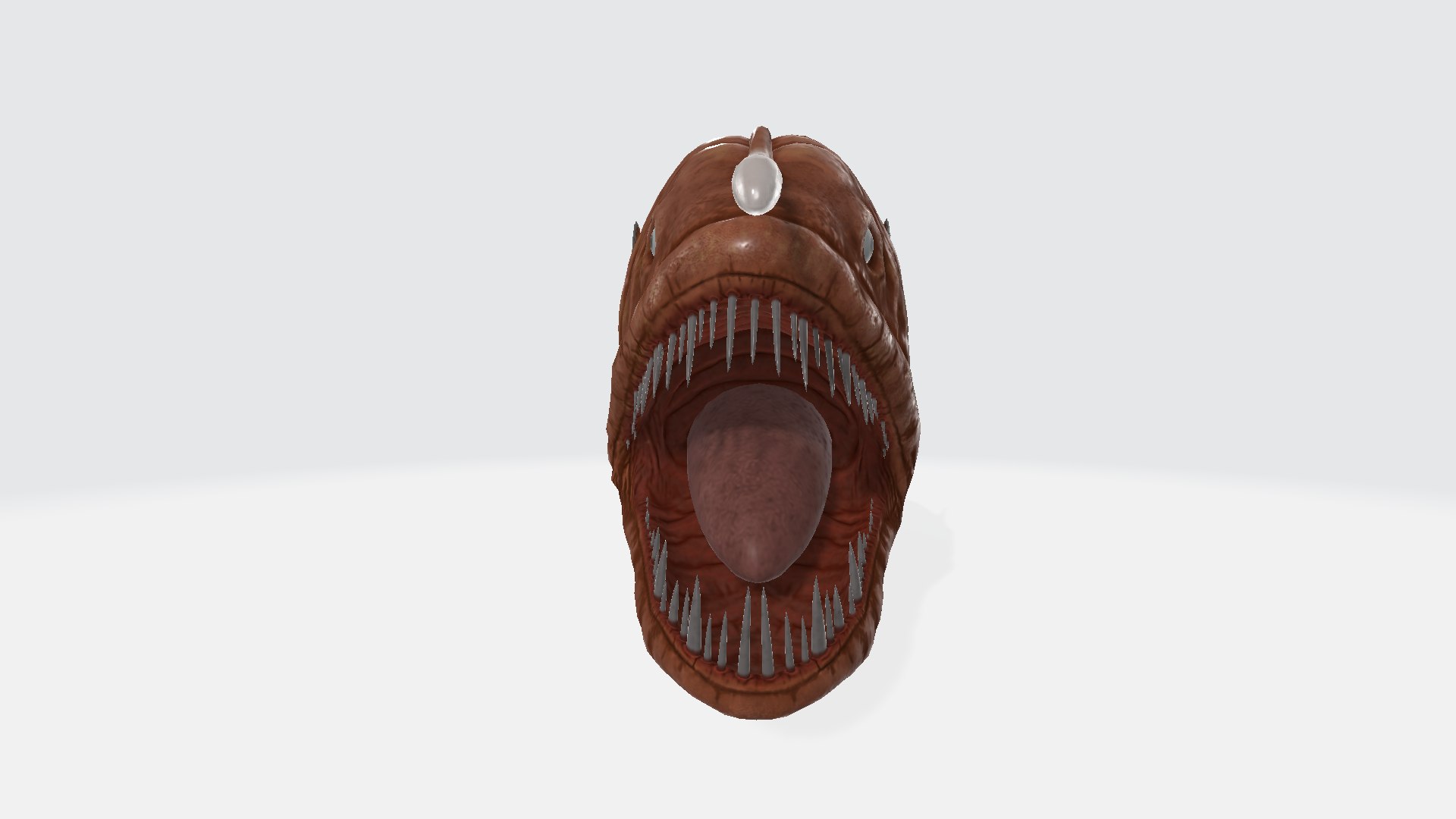 Angler Fish 3D Model - TurboSquid 2294953