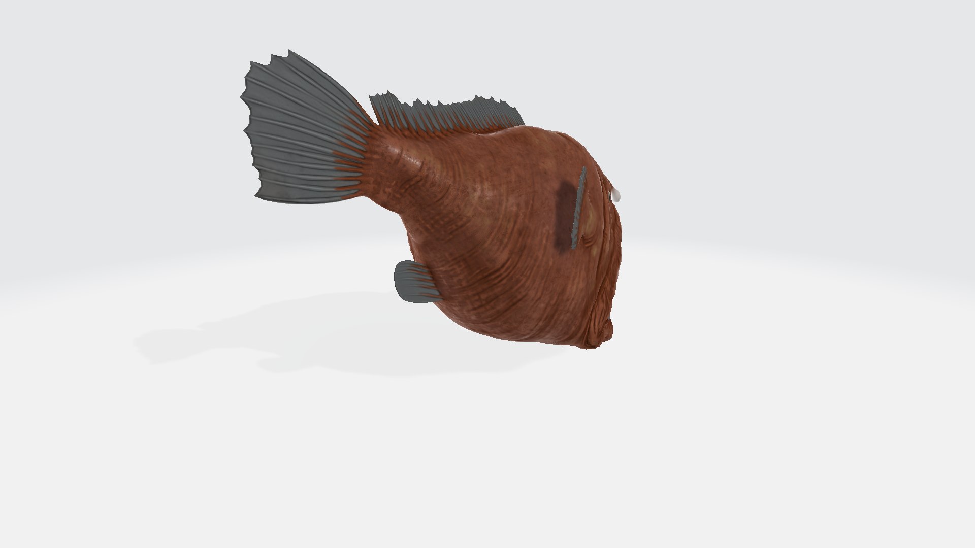 Angler Fish 3D Model - TurboSquid 2294953