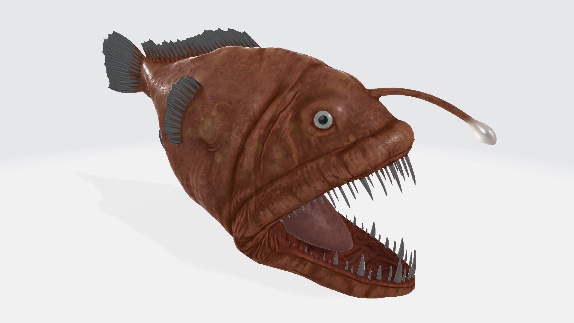 Angler Fish 3D Model - TurboSquid 2294953
