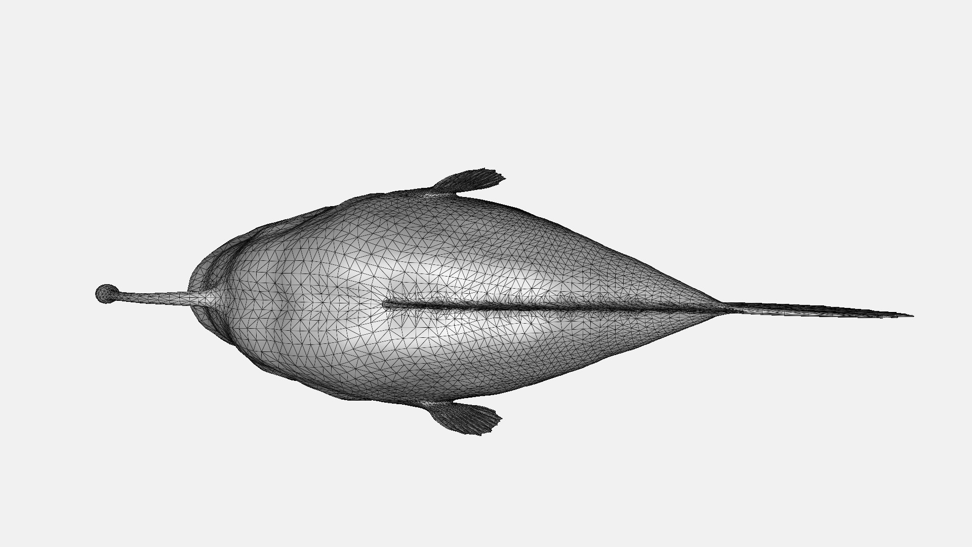 Angler Fish 3D Model - TurboSquid 2294953