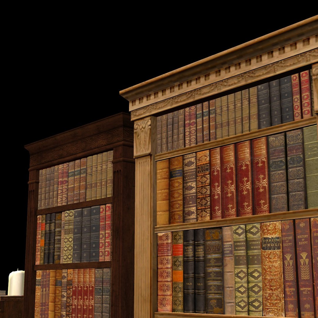 Huge Library Set 3d Model