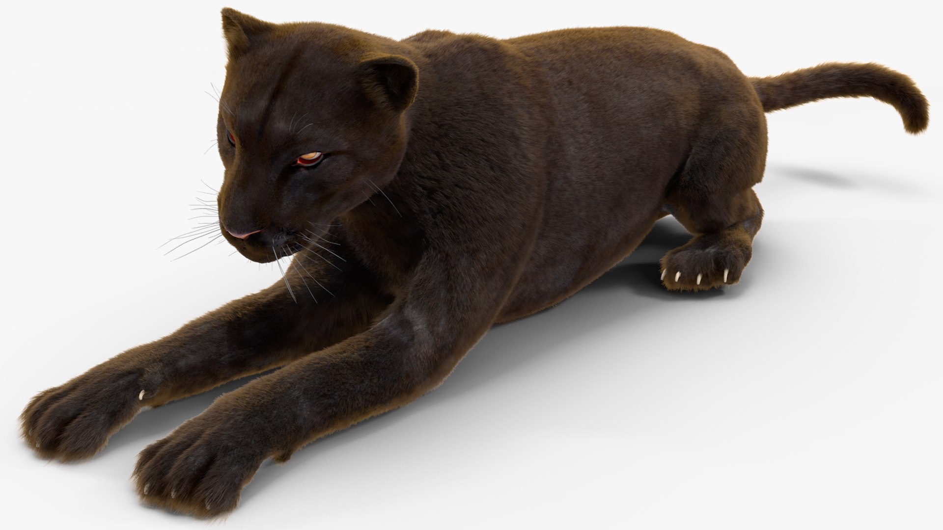 Black Panther Fur Rigged Model - TurboSquid 2212738