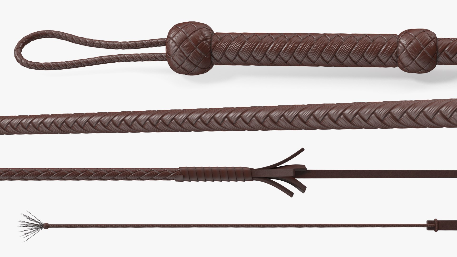 3D Model Cowboy Whip Brown - TurboSquid 2099697