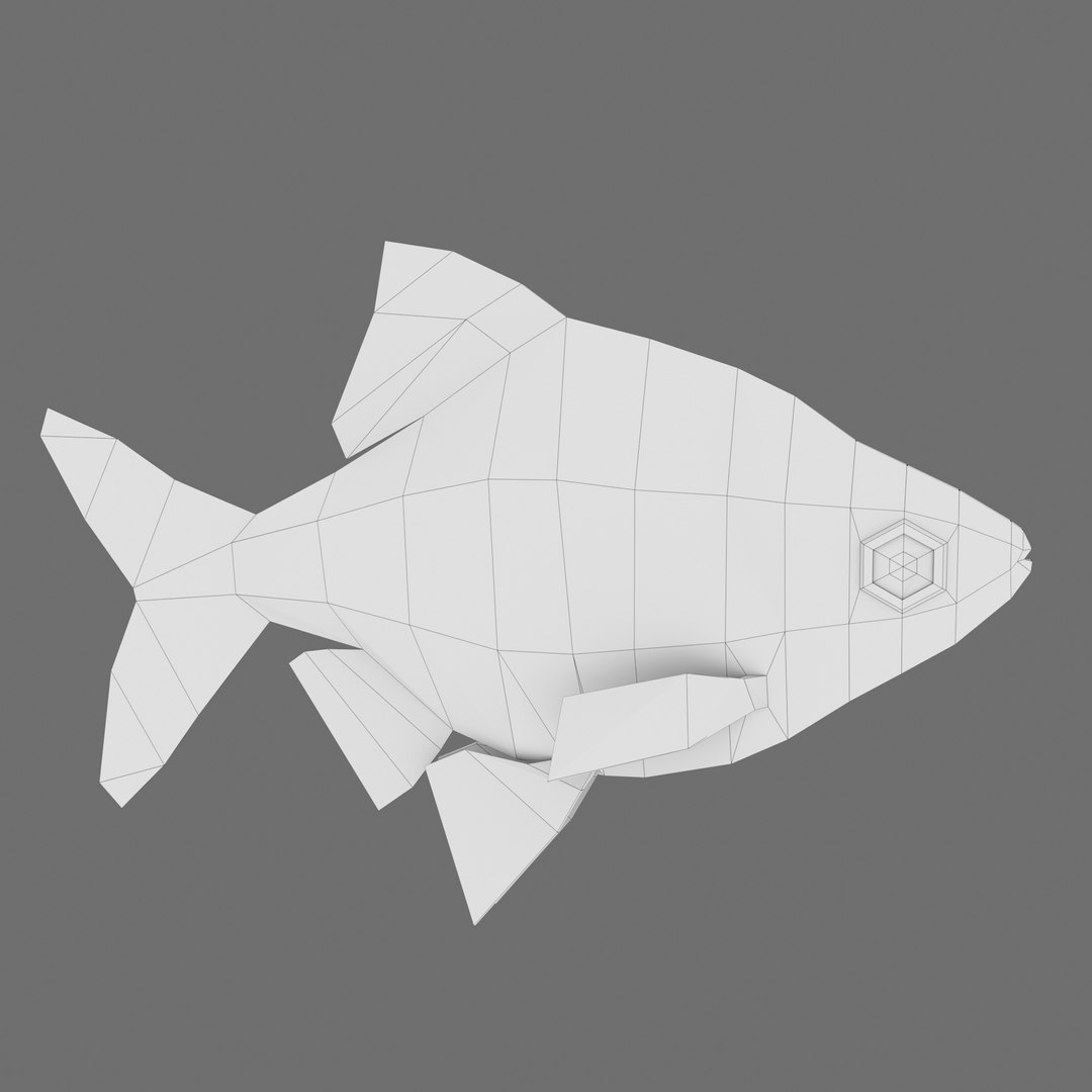 3D Sumatra Barbus Model - TurboSquid 1384805