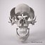 3d Human Skull