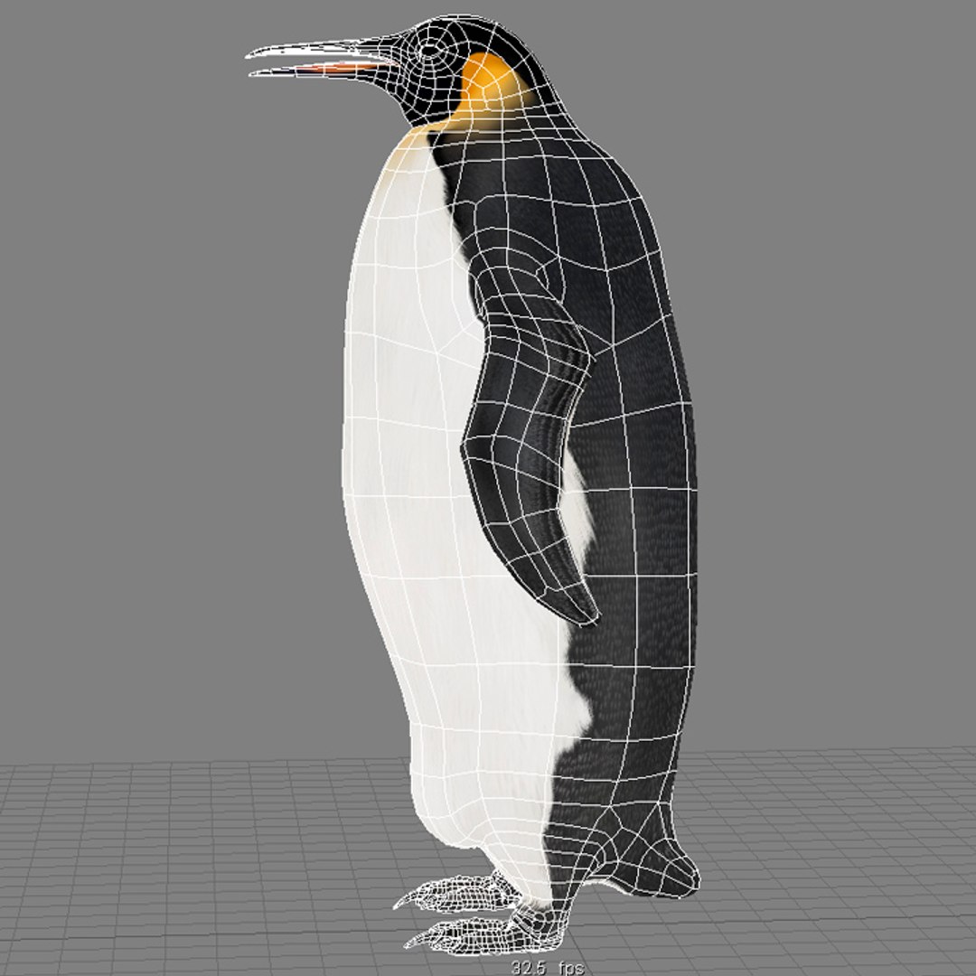 3d Model Photorealistic Penguin