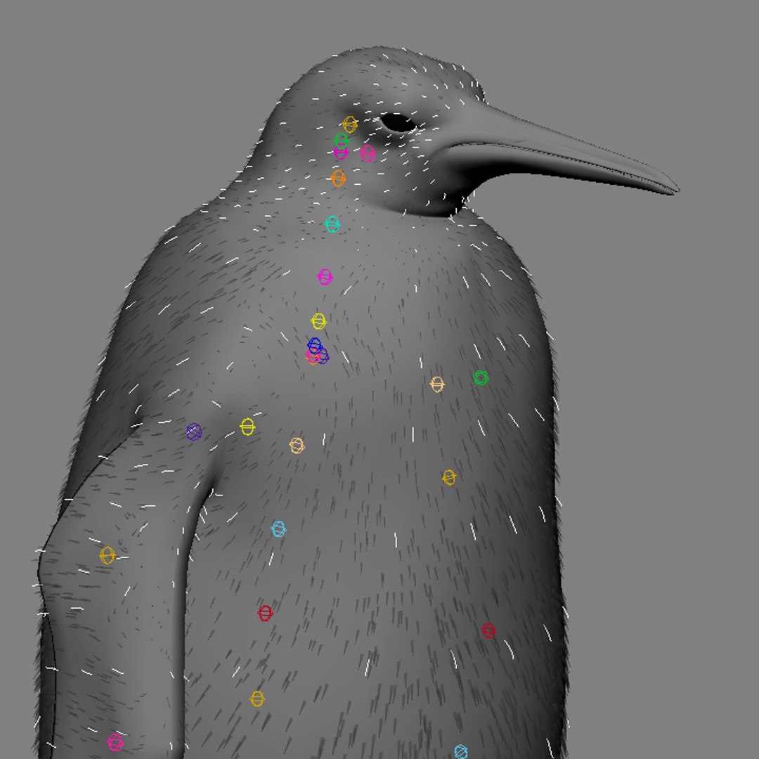 3d Model Photorealistic Penguin