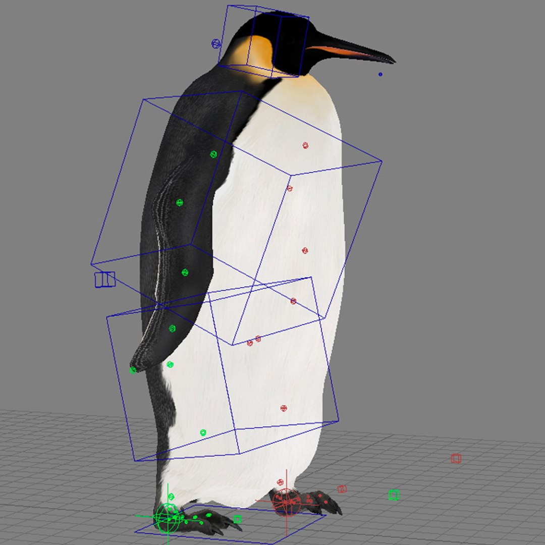 3d Model Photorealistic Penguin