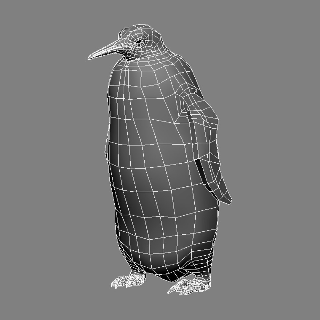 3d Model Photorealistic Penguin