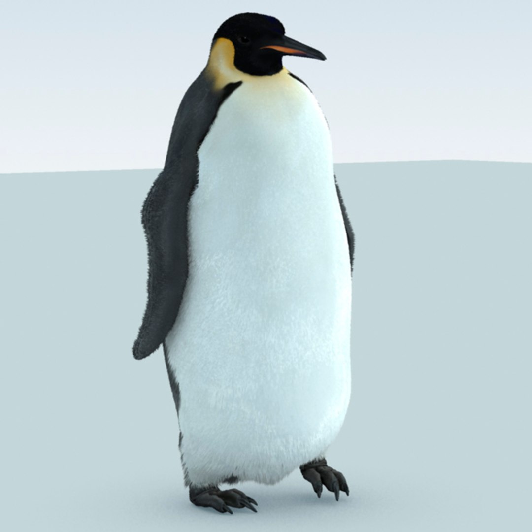 3d Model Photorealistic Penguin