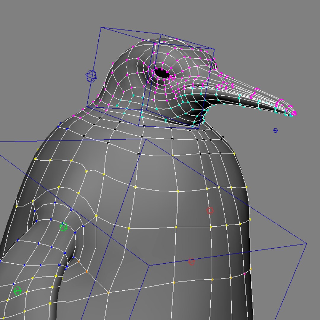3d Model Photorealistic Penguin