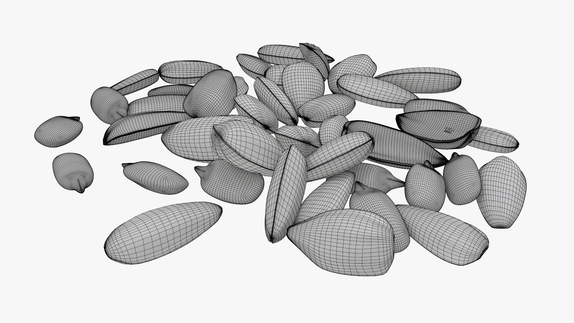 3D Model Seed Sunflower - TurboSquid 1621721