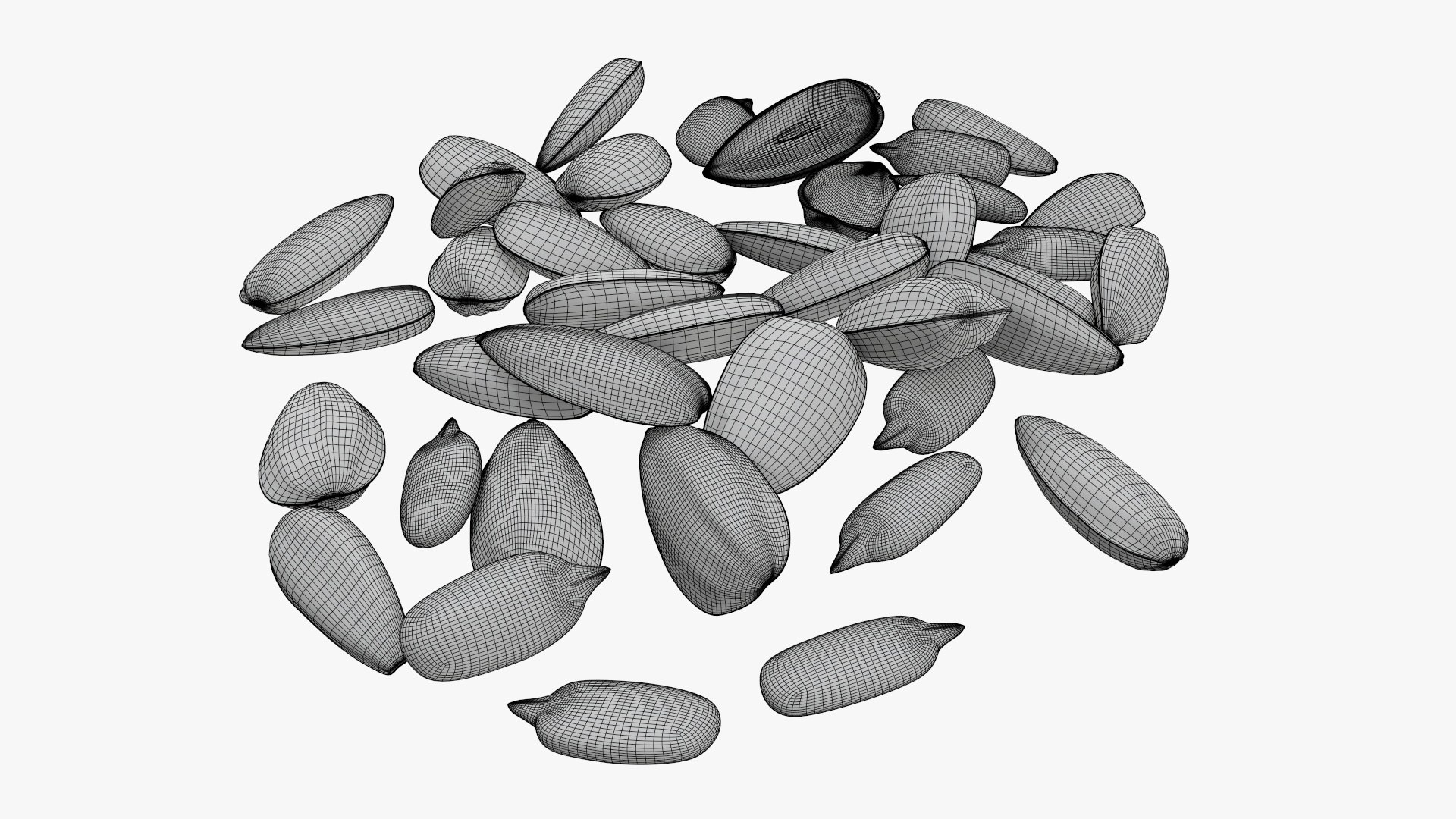 3D Model Seed Sunflower - TurboSquid 1621721