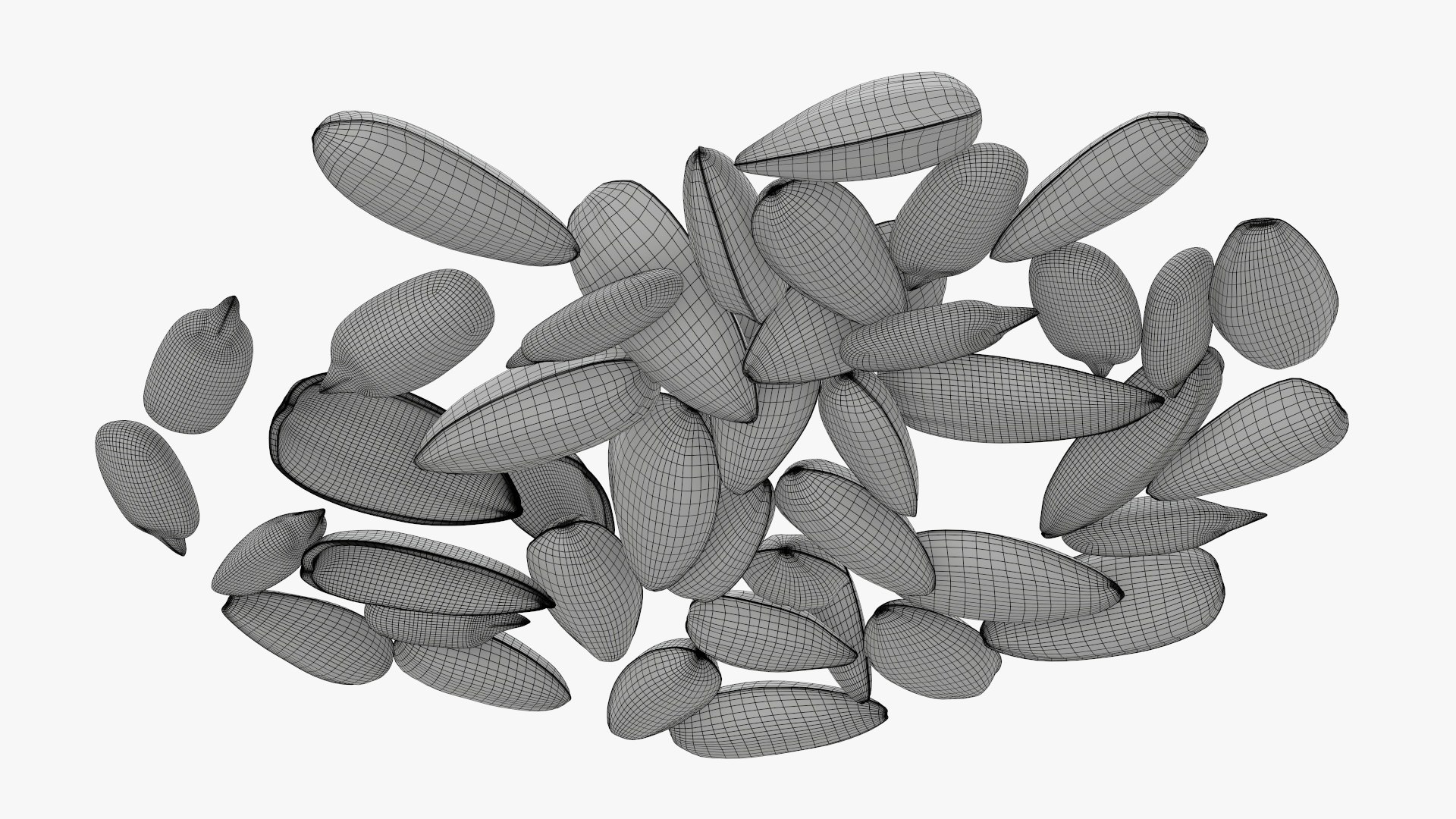 3D Model Seed Sunflower - TurboSquid 1621721