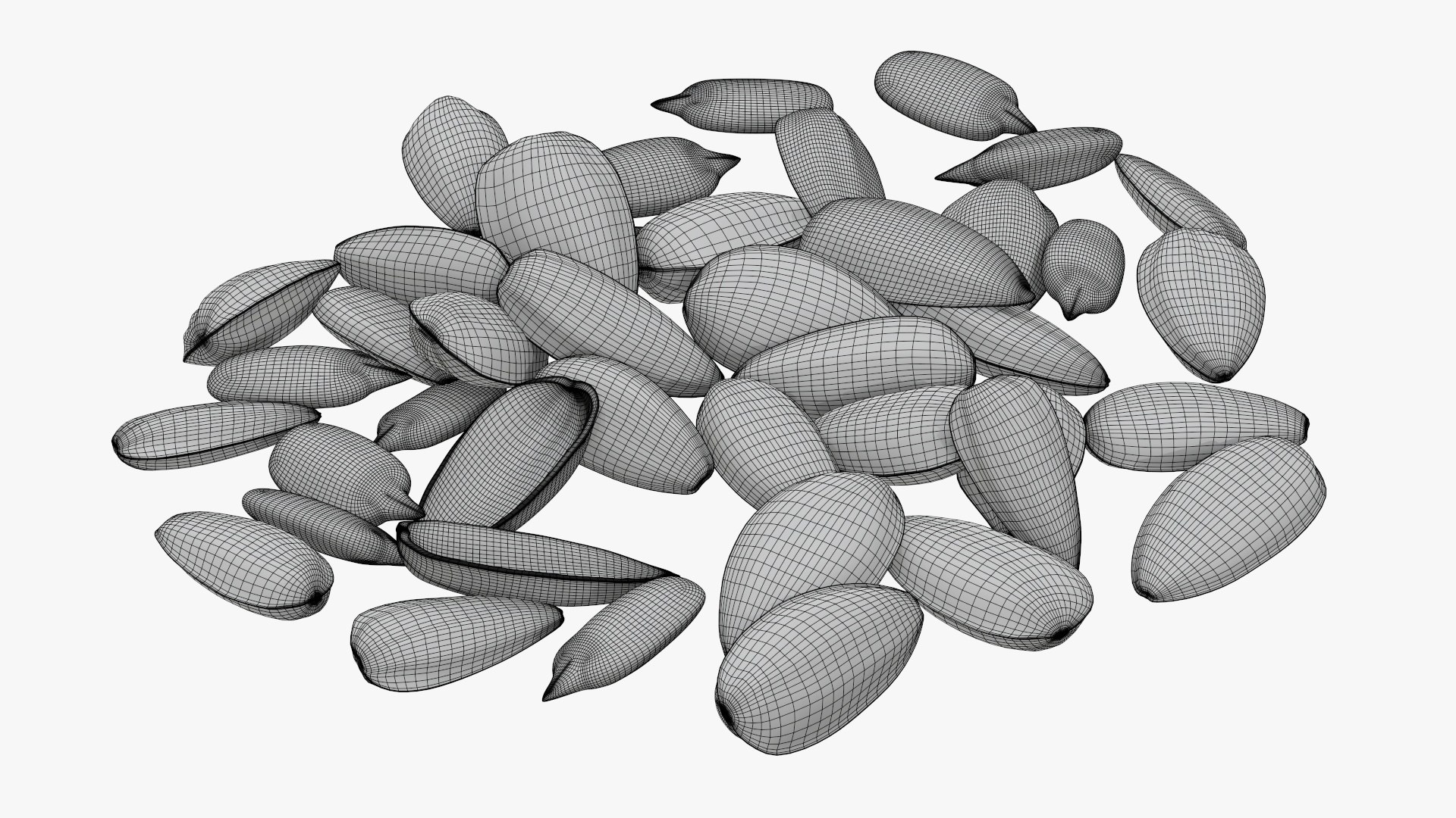 3D Model Seed Sunflower - TurboSquid 1621721