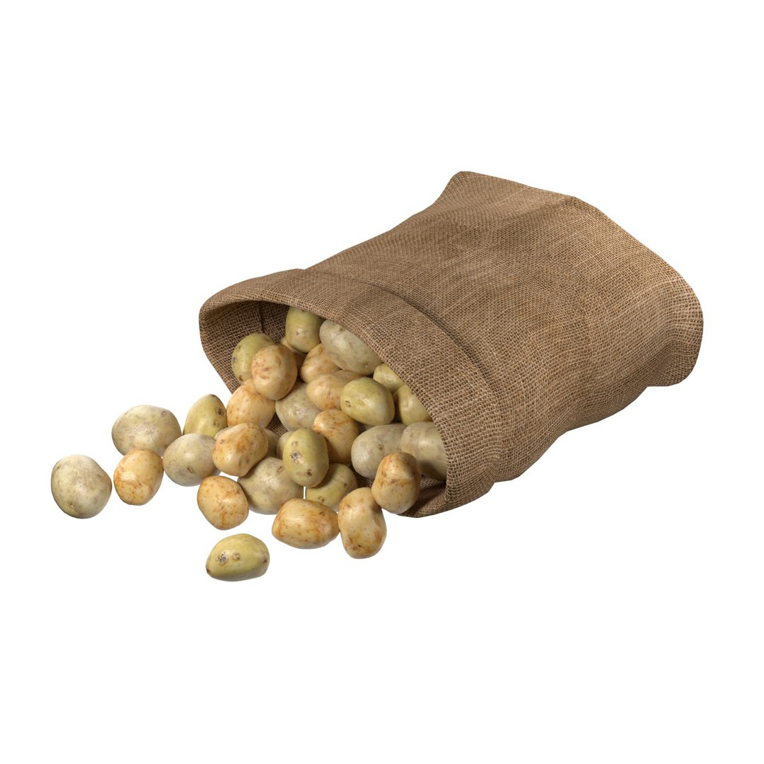 Potato Sack Model - TurboSquid 2388654