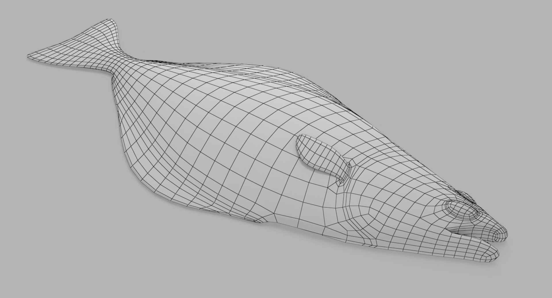 3D Halibut - TurboSquid 1202785