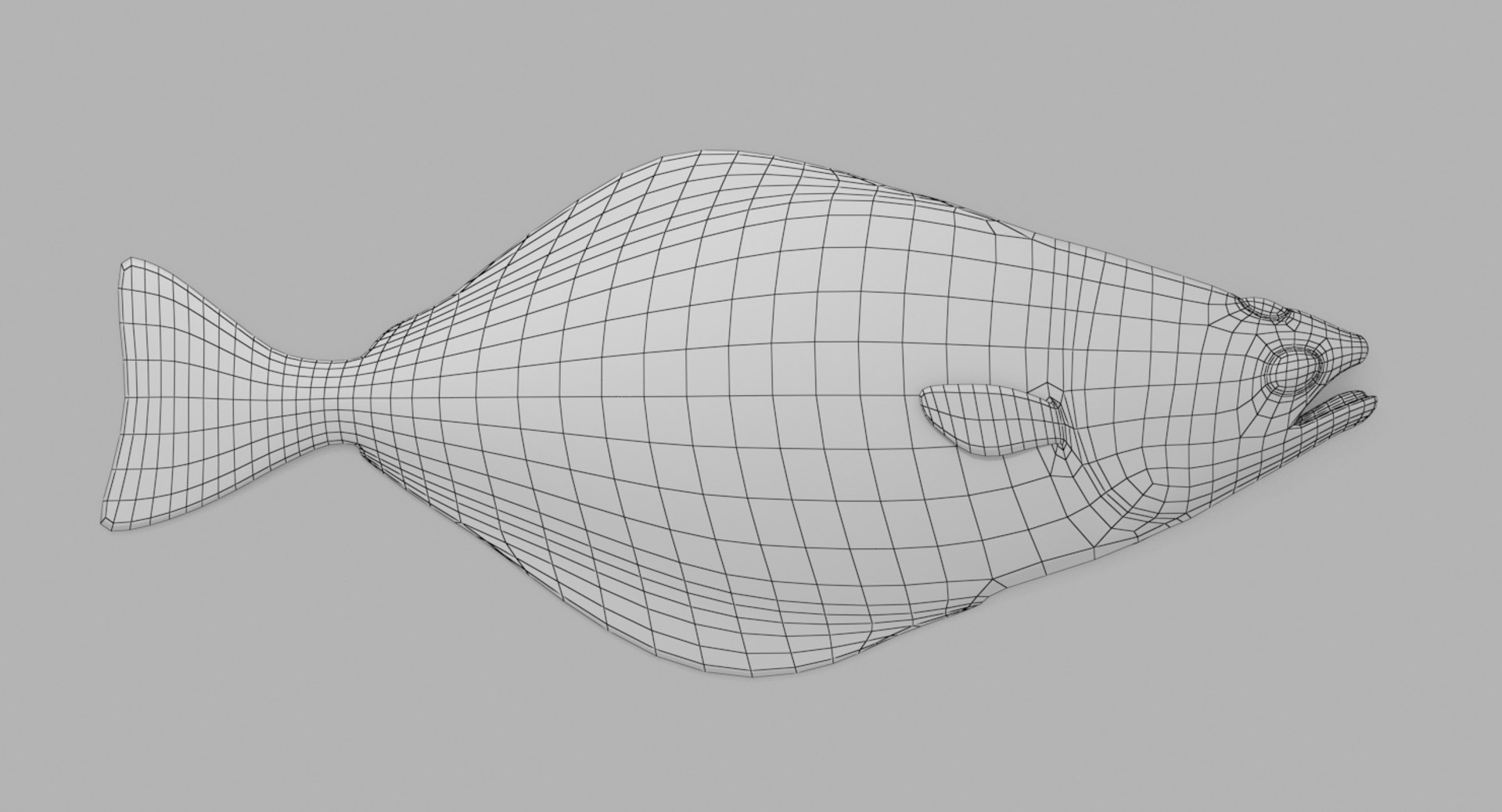 3D Halibut - TurboSquid 1202785