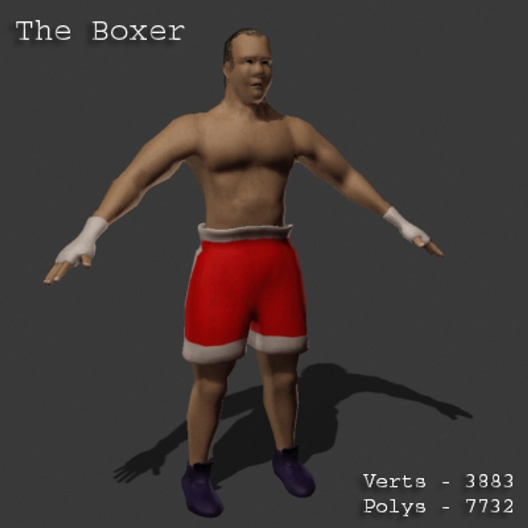 3d Model Boxer Male