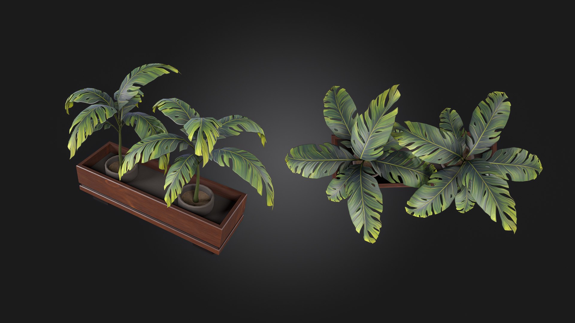3D Model Plant - TurboSquid 2267239