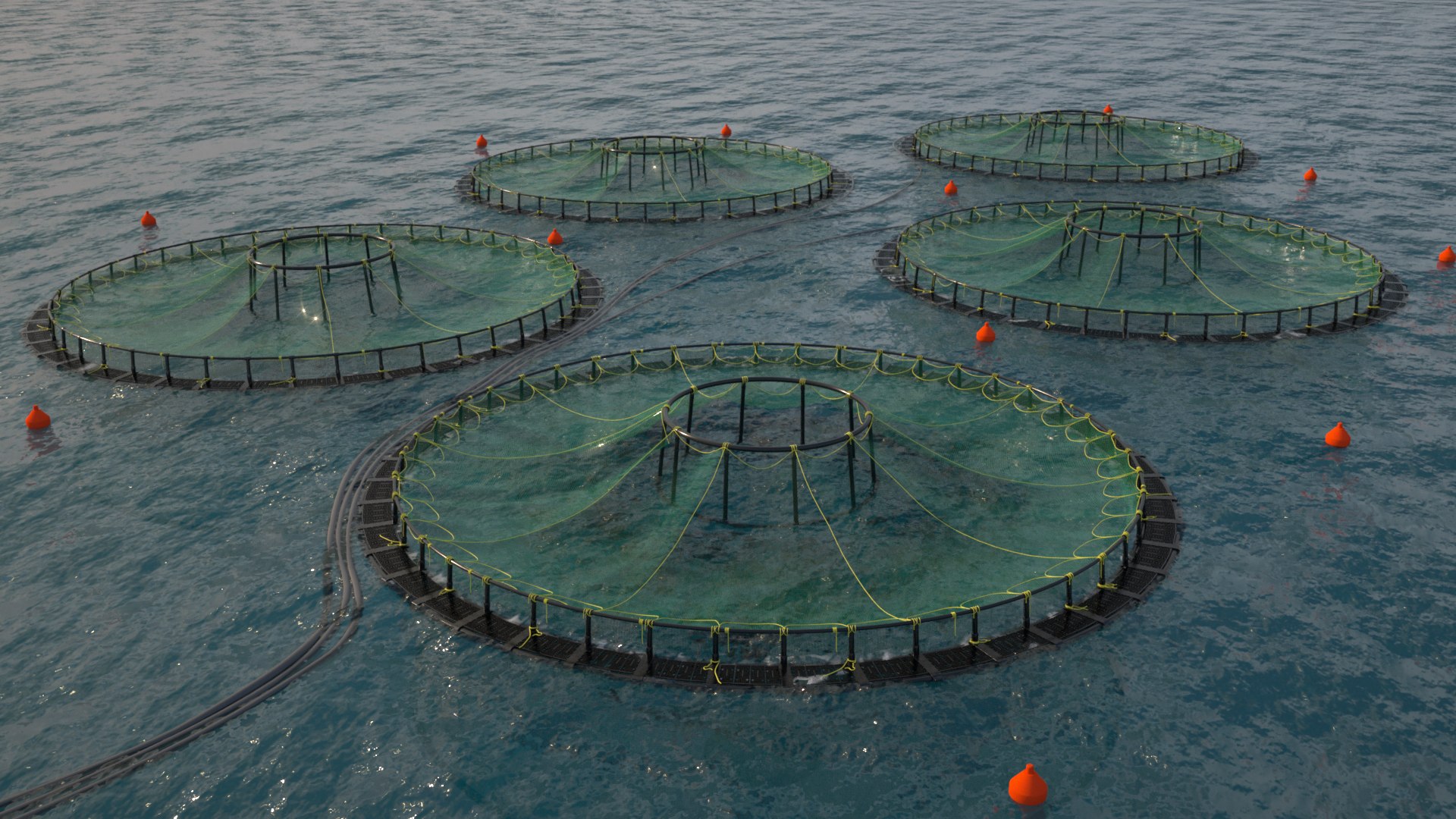 3D Fish Farm In Ocean Sustainable Octane Model - TurboSquid 2153155