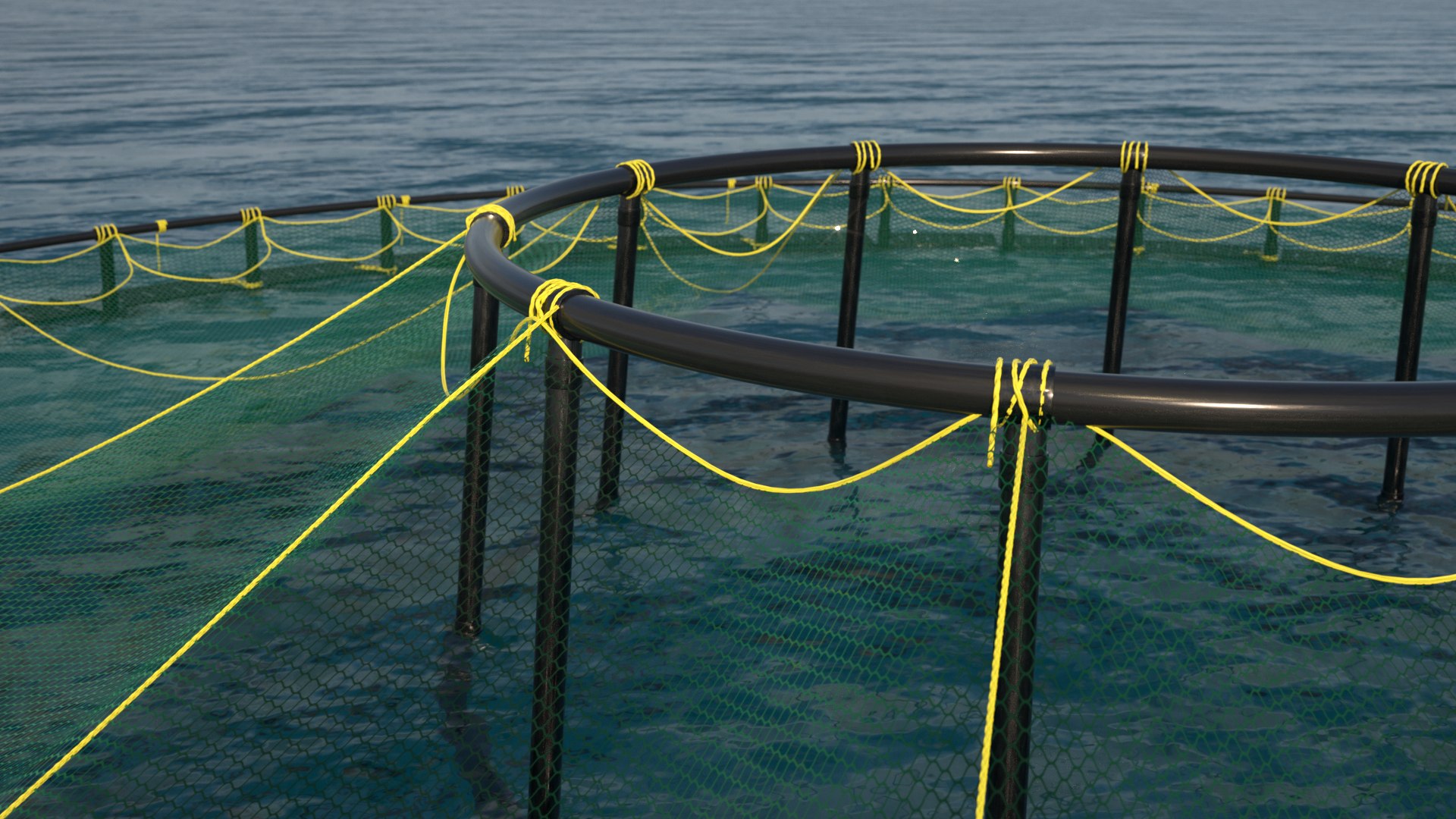 3D Fish Farm In Ocean Sustainable Octane Model - TurboSquid 2153155