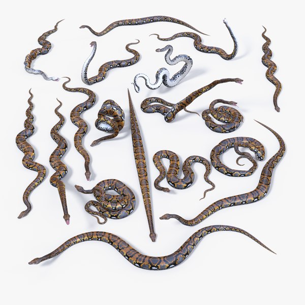 Reticulated Python 3D Mesh 3D 모델 - TurboSquid 1880486