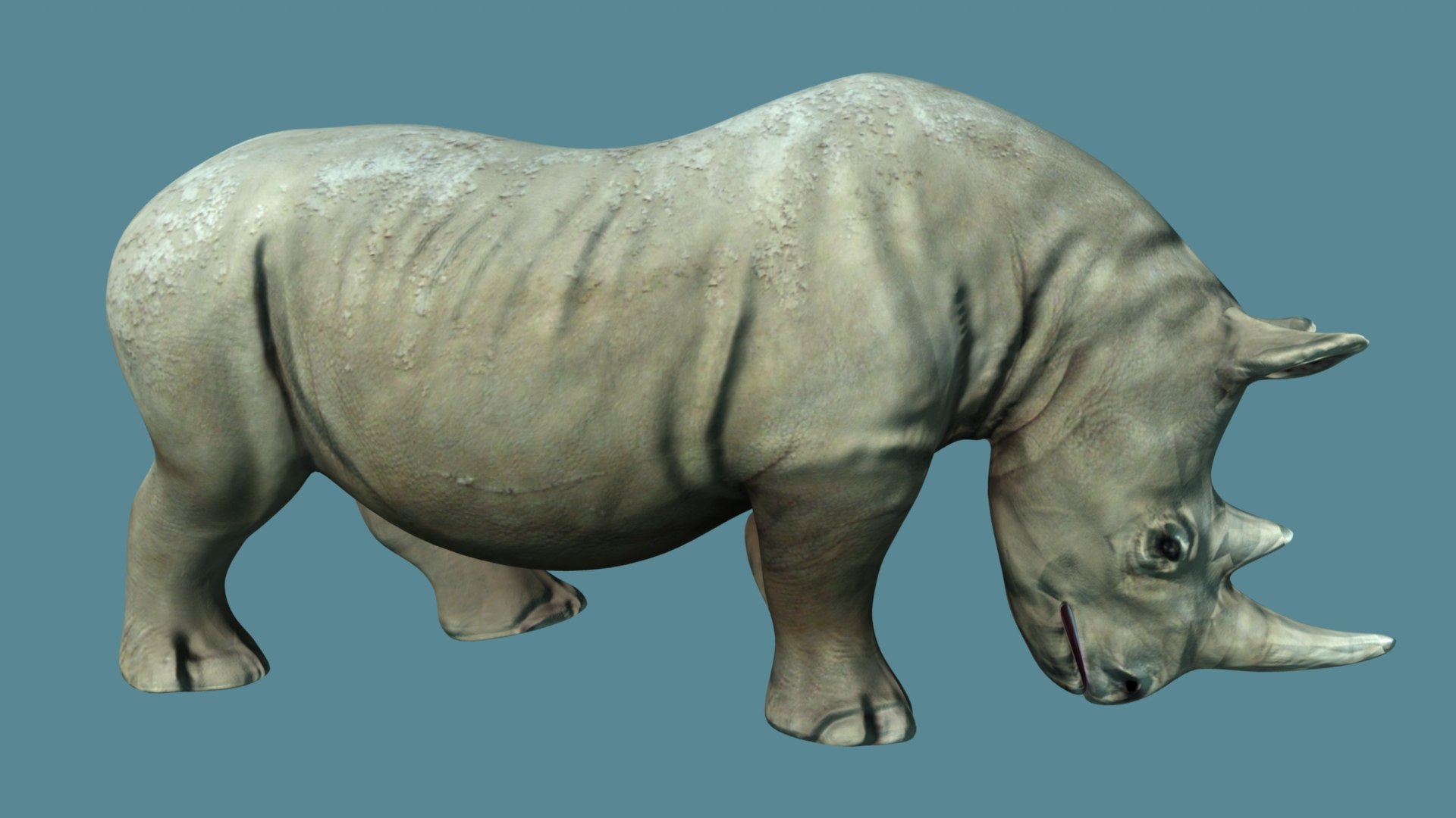 Rhinoceros 3D Model - TurboSquid 2211168