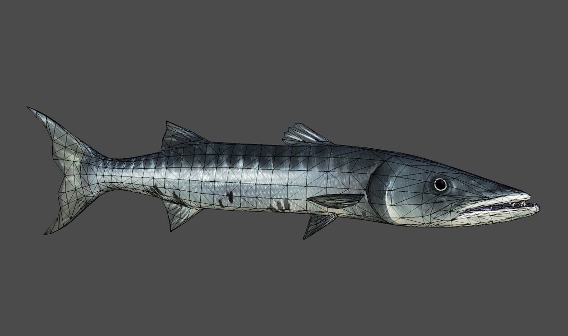 3d model barracuda games
