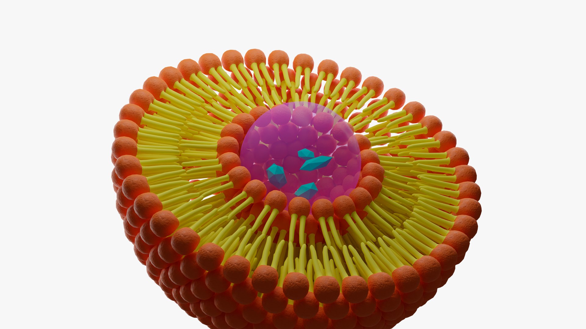 Liposome 3D - TurboSquid 1879139