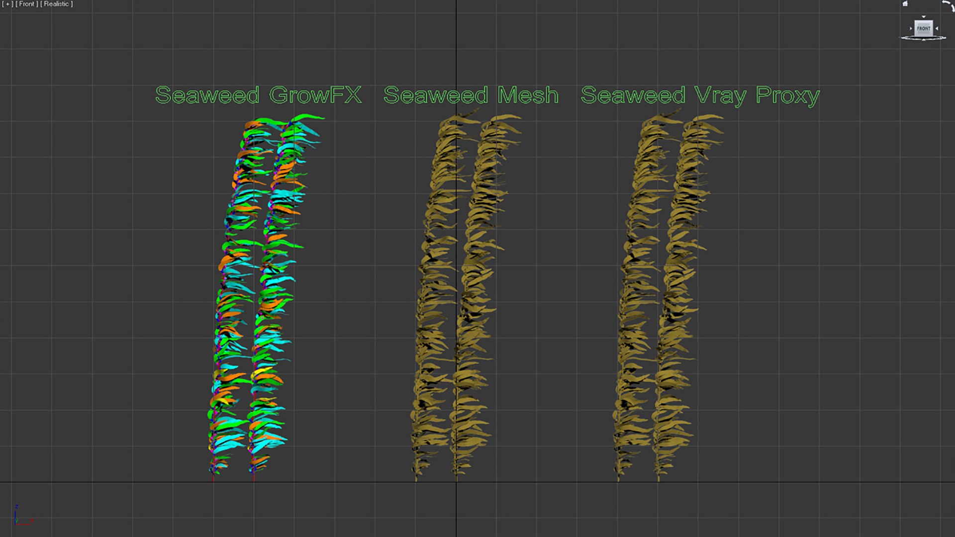 3D Photorealistic Water Seaweed - TurboSquid 1263738