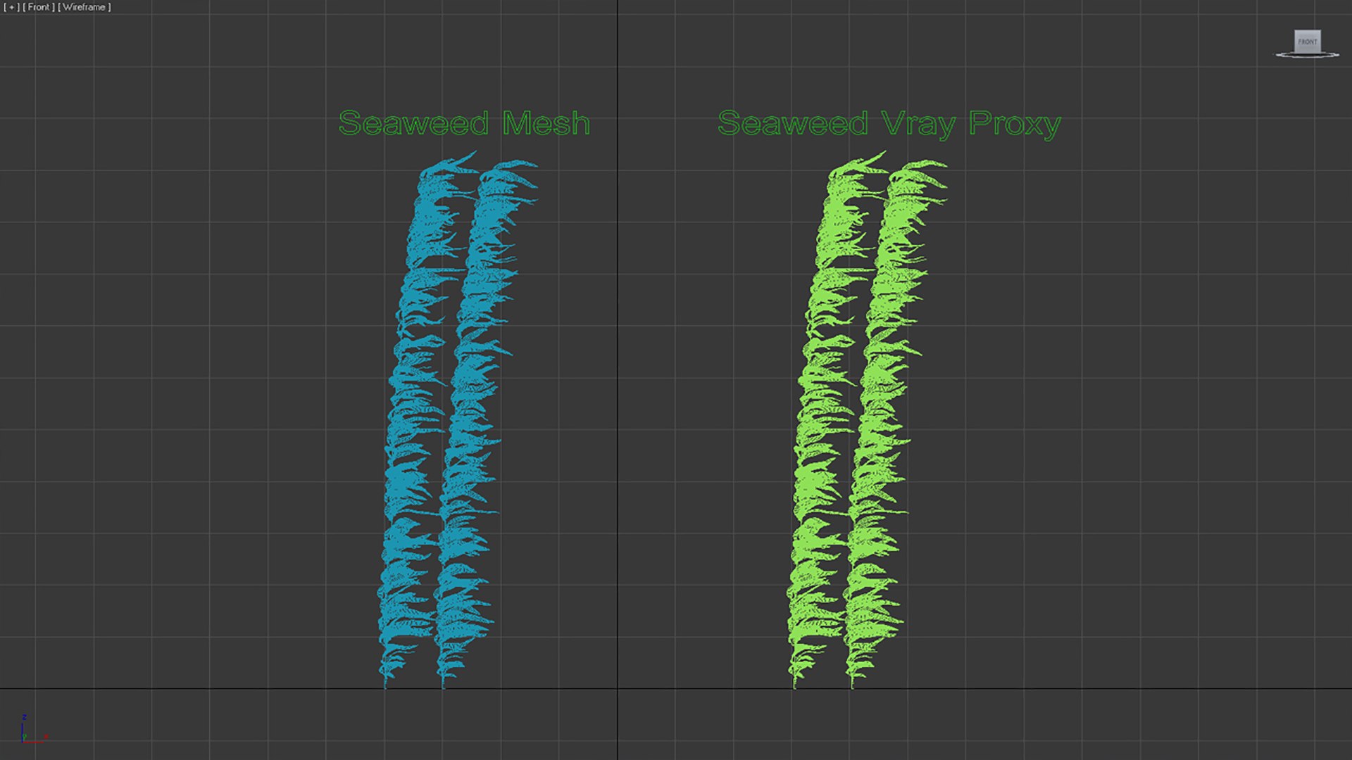 3D Photorealistic Water Seaweed - TurboSquid 1263738