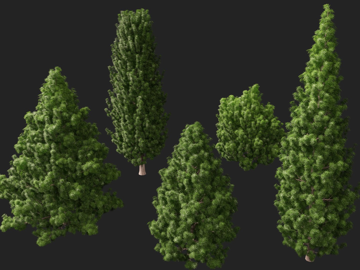 HighPoly LowPoly - Juniperus Communis - Common Juniper 3D Model ...