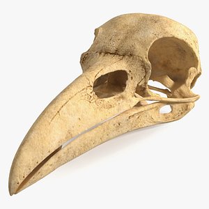 3D Crow Models - Browse & Download Formats - TurboSquid