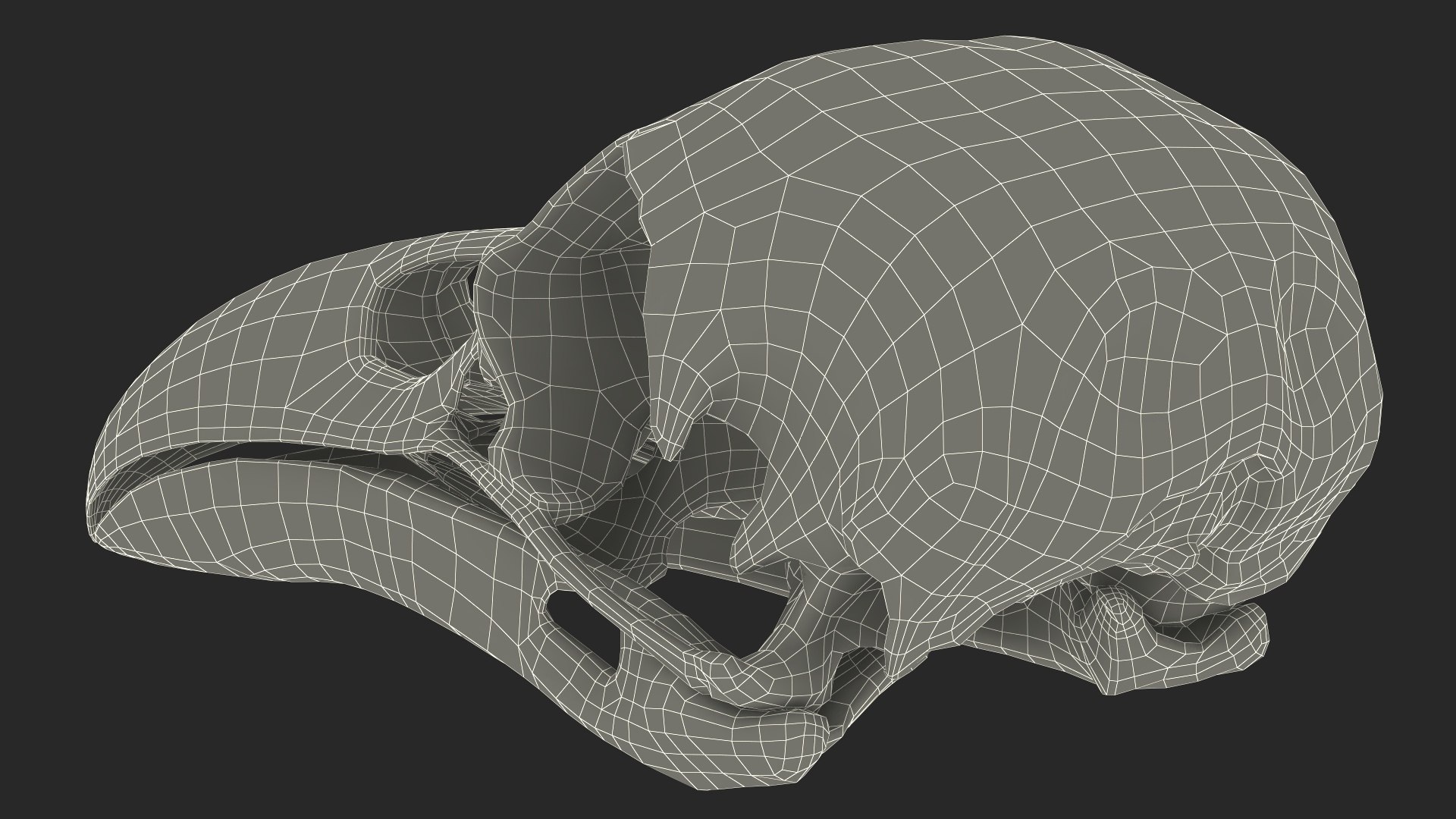 Crow Raven Skull Anatomy Model Aged 3D Model - TurboSquid 2371762