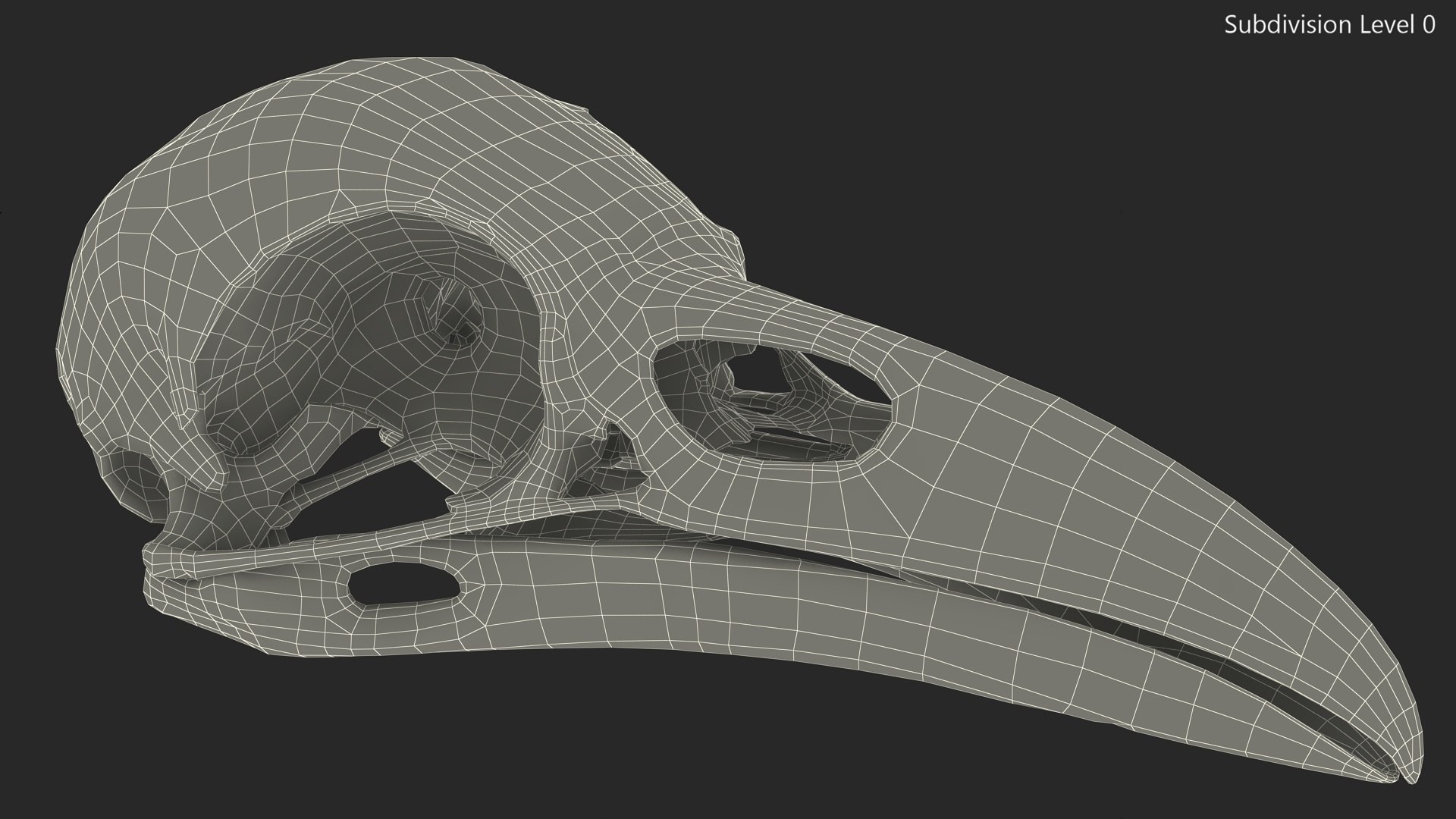 Crow Raven Skull Anatomy Model Aged 3D Model - TurboSquid 2371762