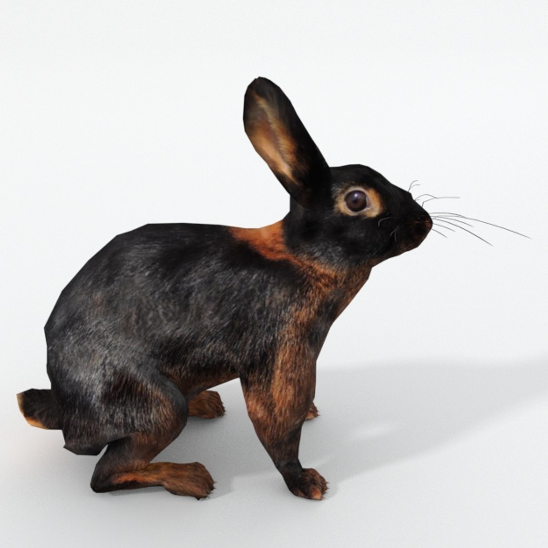 3D Tan Rabbit - TurboSquid 1362589