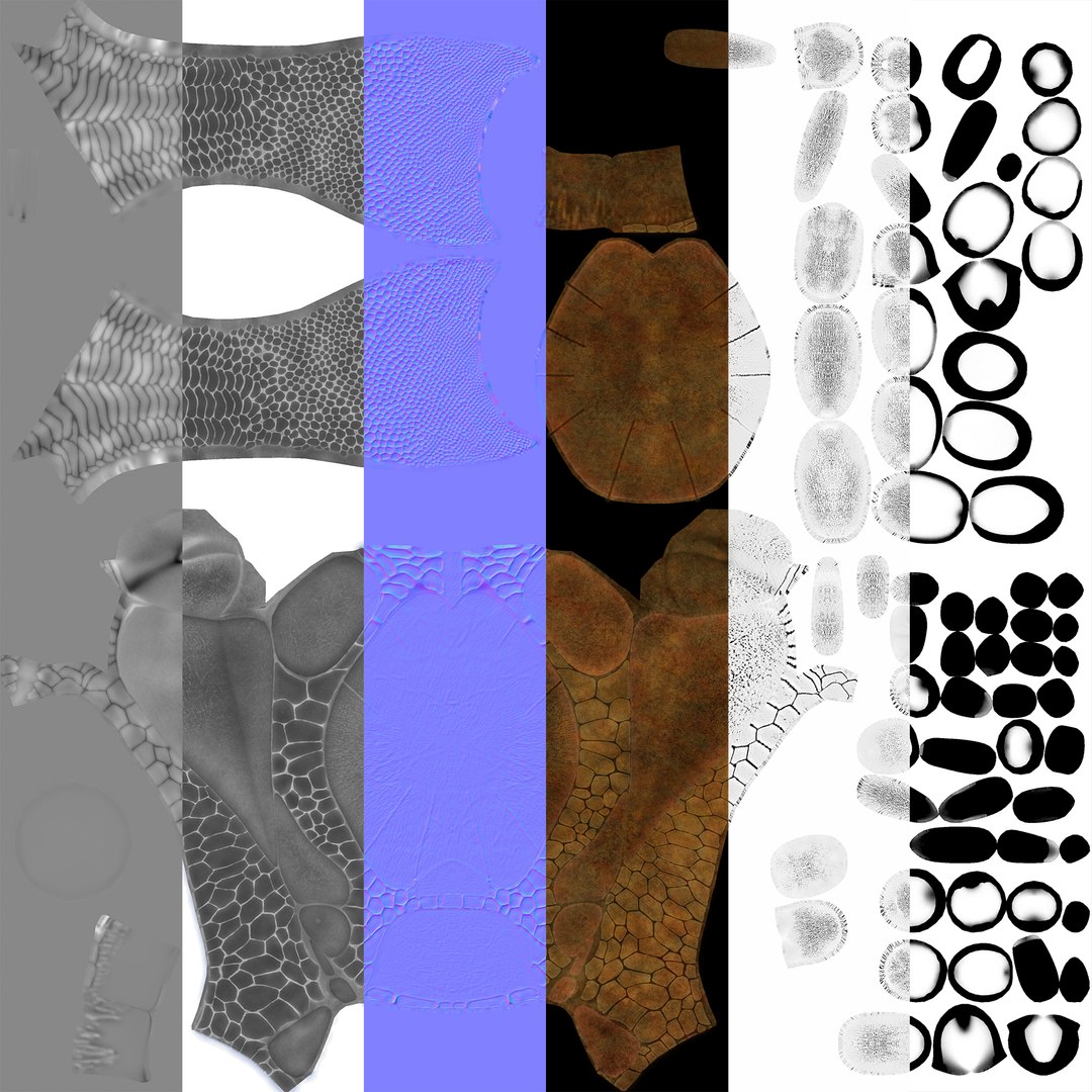 Extinct Bothriolepis Cephalaspis 3D Model - TurboSquid 1613607