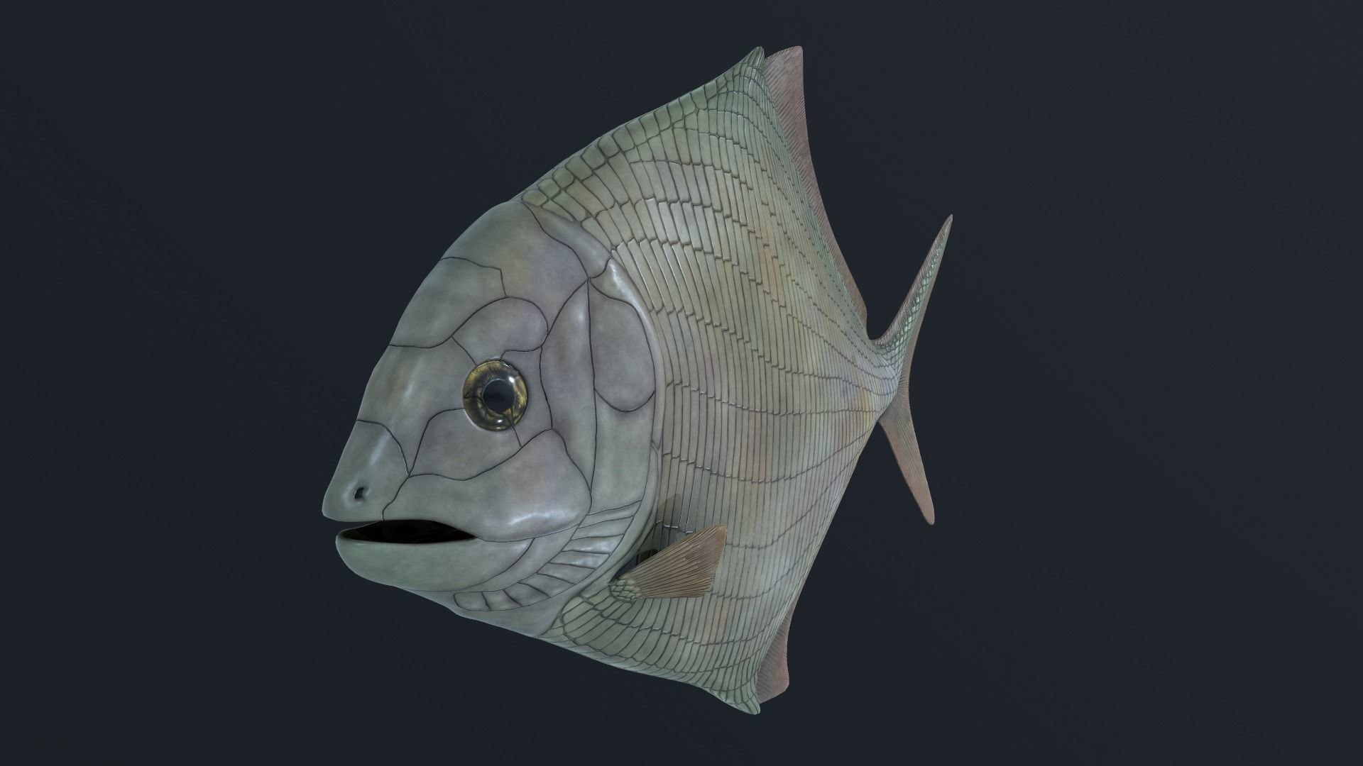 Extinct Bothriolepis Cephalaspis 3D Model - TurboSquid 1613607