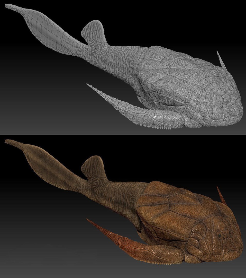 Extinct Bothriolepis Cephalaspis 3D Model - TurboSquid 1613607