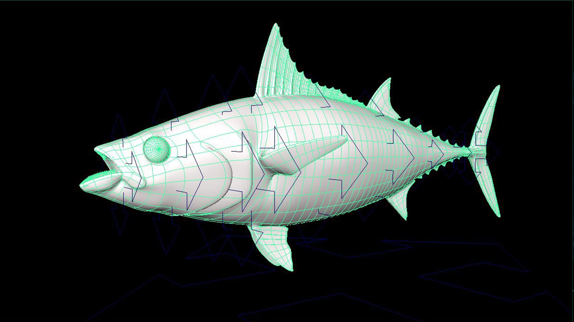 3d Bonito Fish