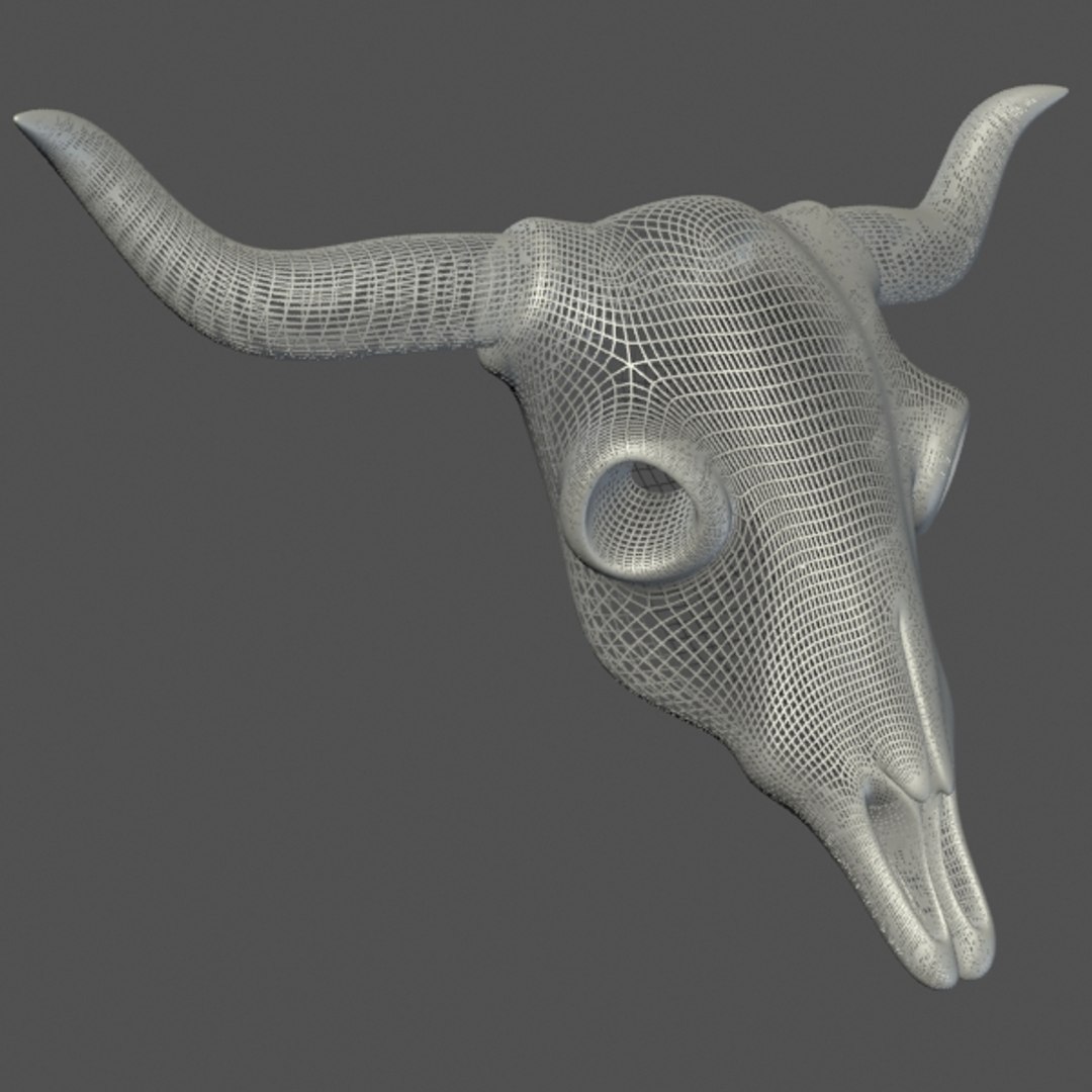 animal skull 3d model