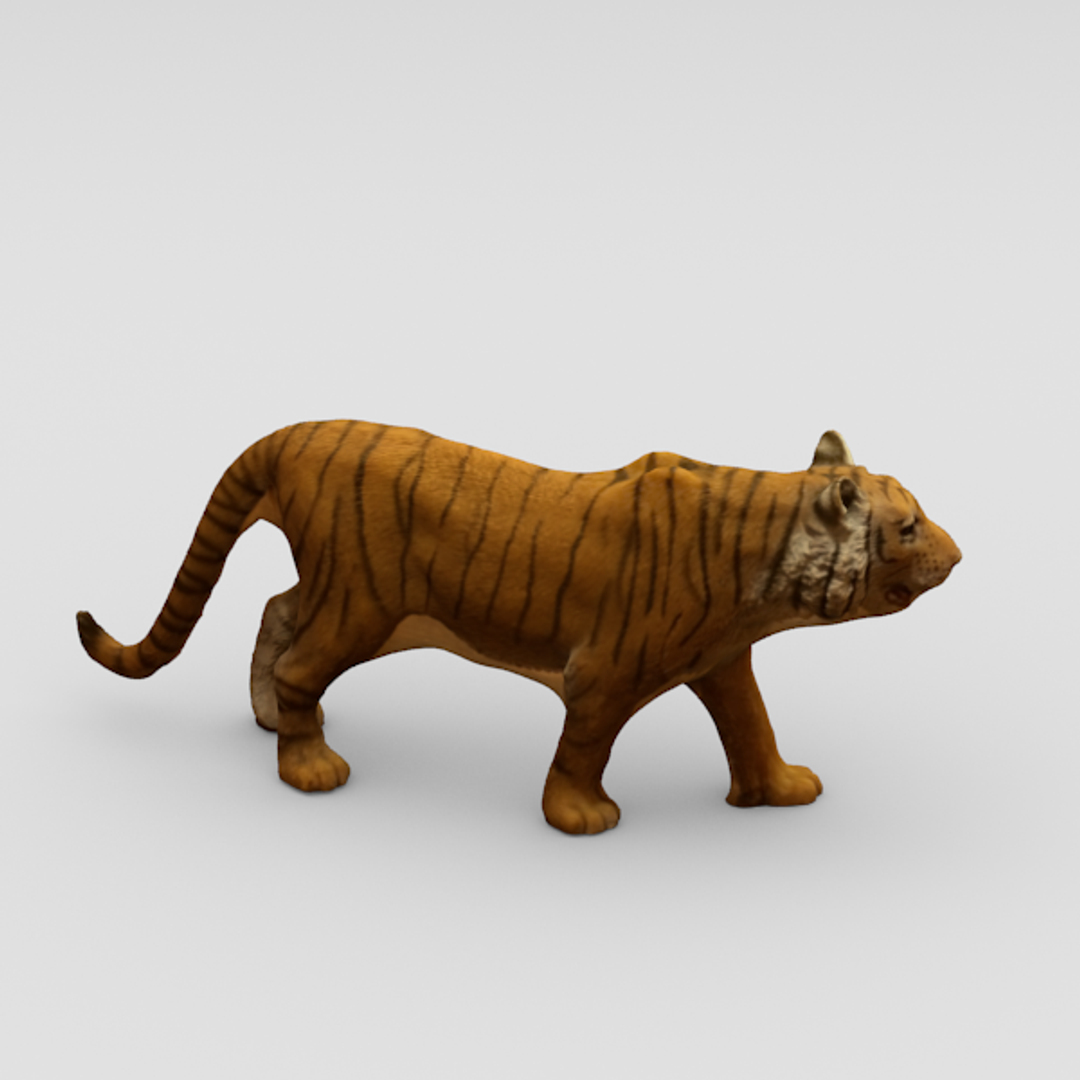 3d Bengal Tiger Model