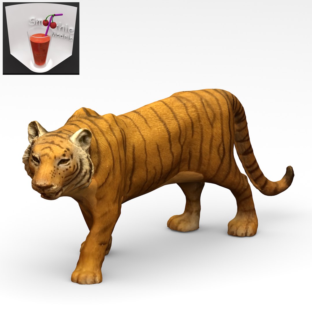 3d Bengal Tiger Model