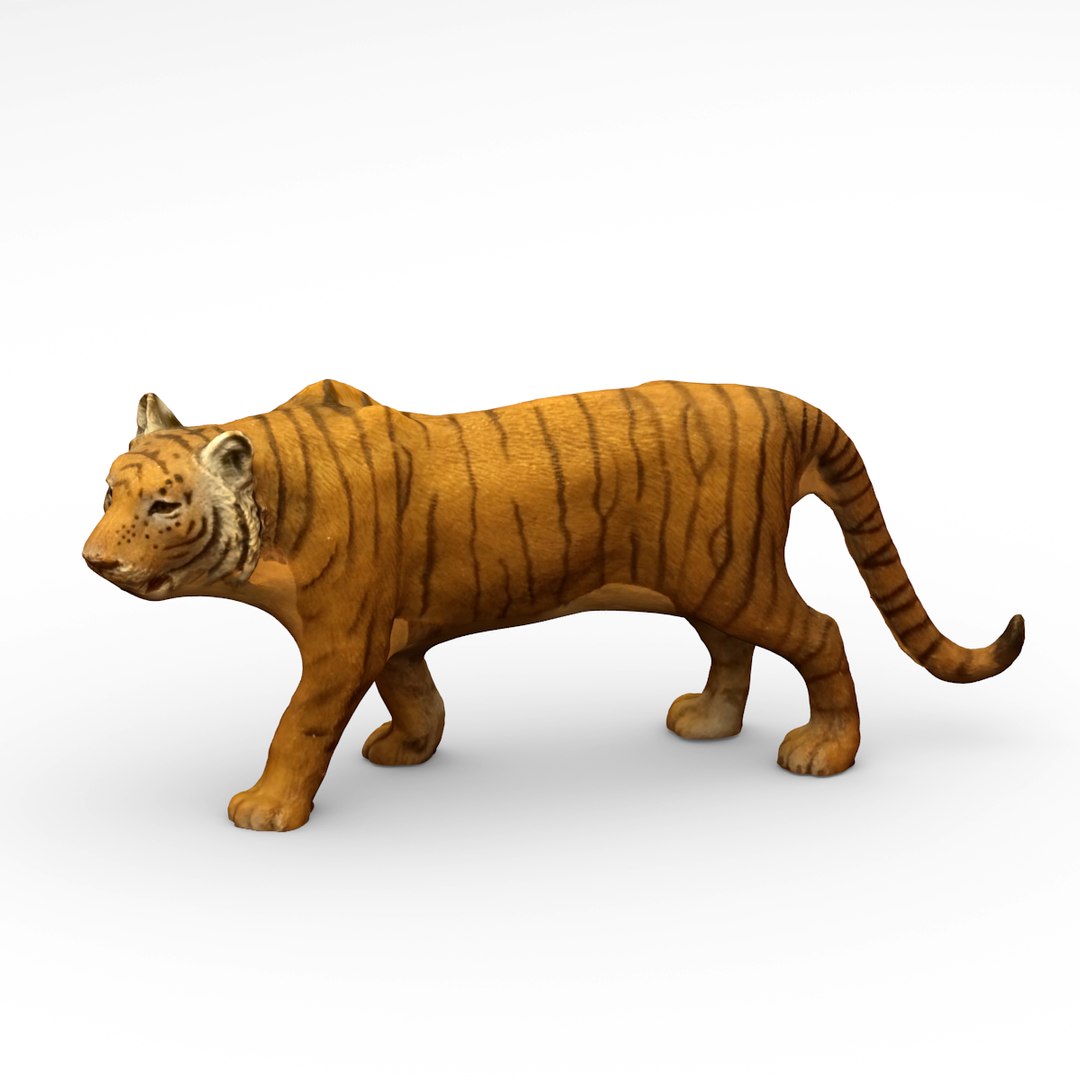 3d Bengal Tiger Model