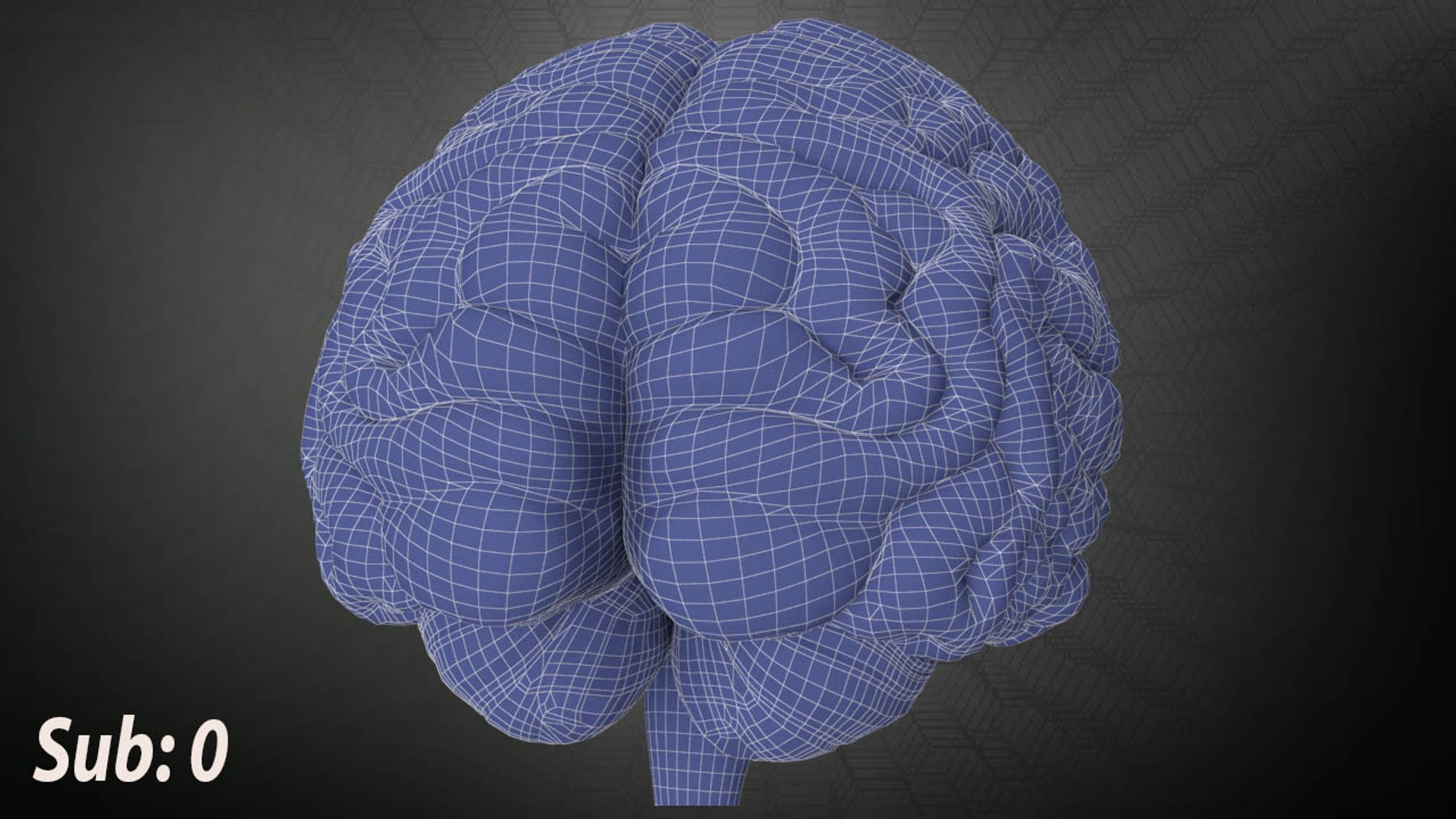 Human Brain 3D Model - TurboSquid 1234508