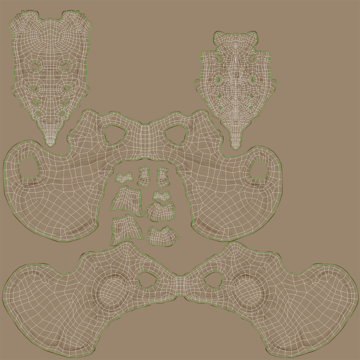 3d model of male pelvis skeleton