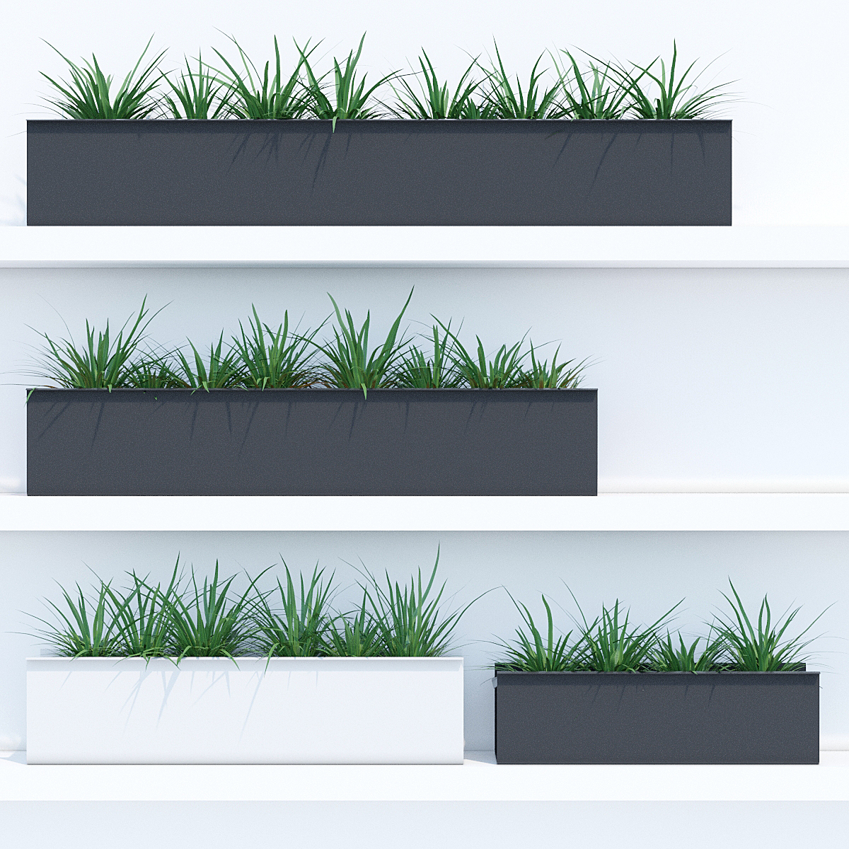 3D sunset box flora model - TurboSquid 1368921