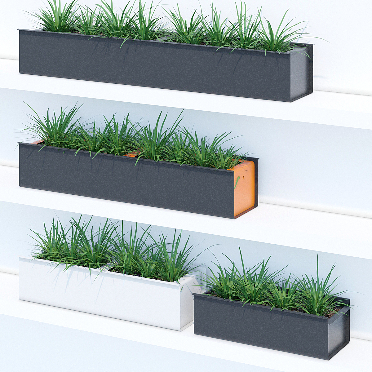 3D sunset box flora model - TurboSquid 1368921